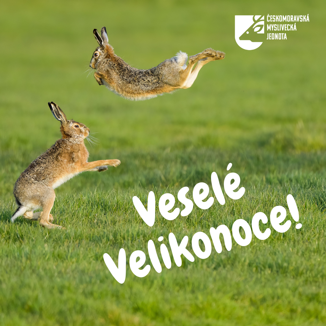 Veselé Velikonoce! | ČMMJ